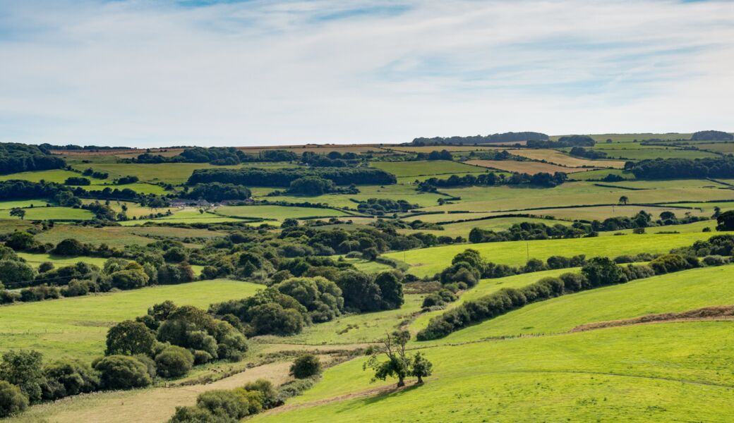 J&B Recycling - The 4R's: Reduce, Reuse, Recycle, Recover