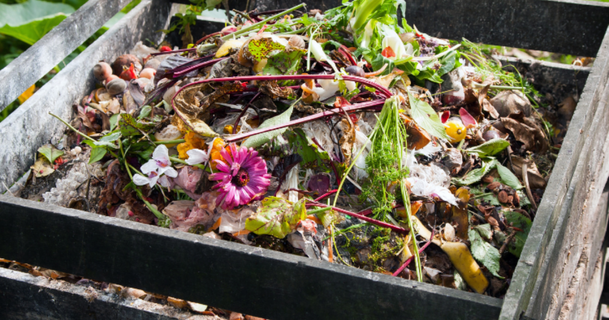 J&B Recycling - An Introduction to Organic Waste Management