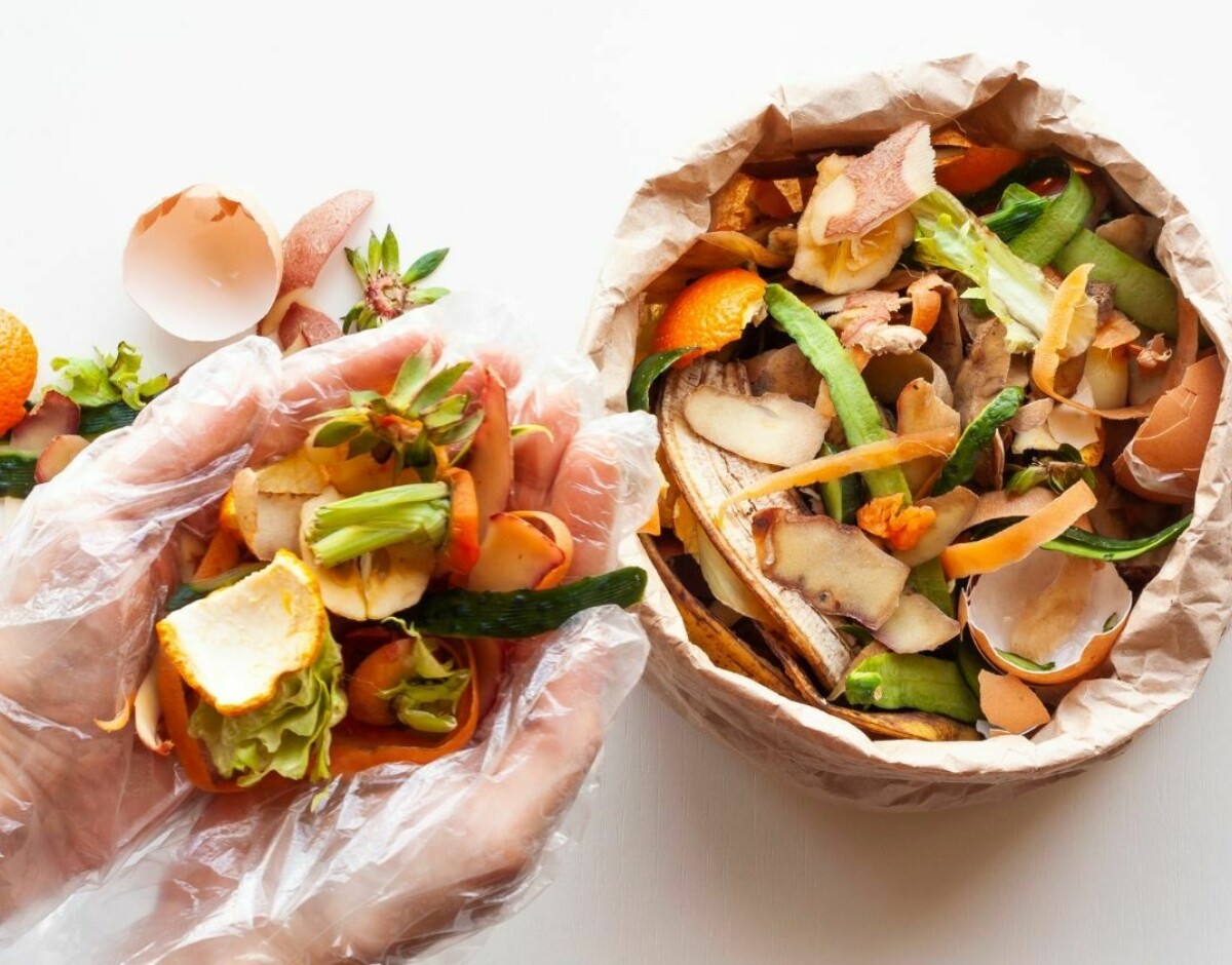 J&B Recycling - Food Waste Collection North East | J&B Recycling